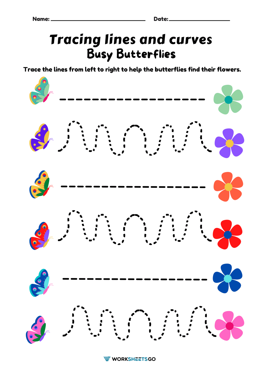 Tracing Lines And Curves Worksheets WorksheetsGO Tracing Lines And Curves Worksheets WorksheetsGO